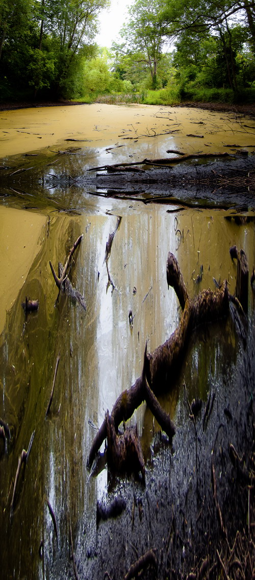 Visual Haiku – Edge of Humanity Magazine