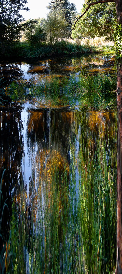 Visual Haiku – Edge of Humanity Magazine