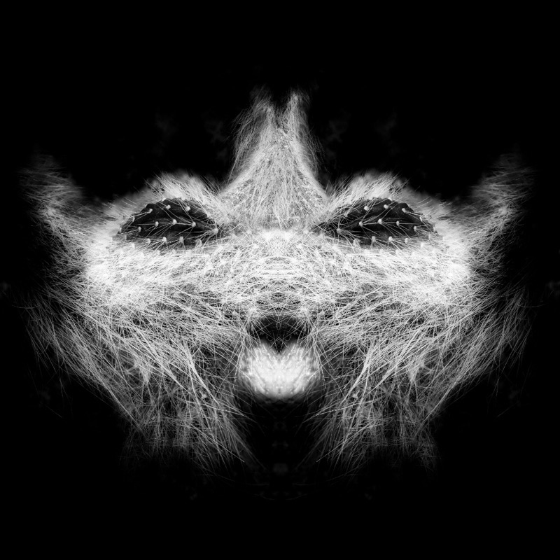 The Similar Patterns Of The Human Body & Nature – Edge of Humanity Magazine